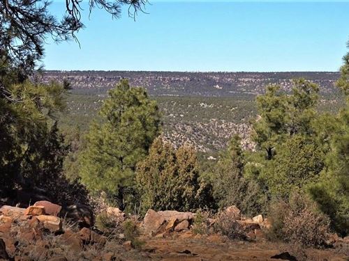 New Mexico Ranches for Sale : Page 3 of 9 - ranchflip