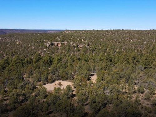 New Mexico Ranches for Sale : RANCHFLIP