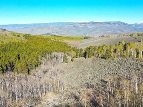 Colorado Ranches for Sale : Page 22 of 24 : Buy Ranches for Sale, Find ...