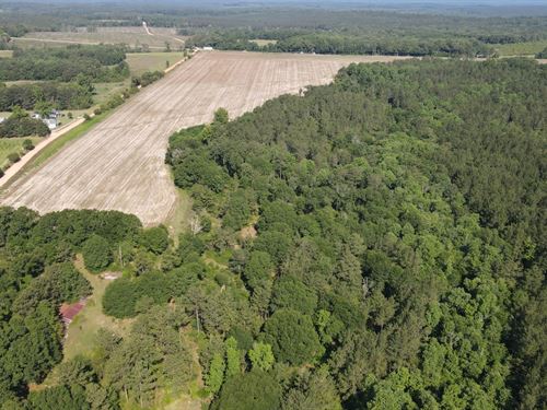 Alabama Ranches for Sale : Page 2 of 63 - ranchflip