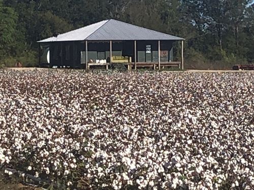 Louisiana Ranches for Sale : RANCHFLIP