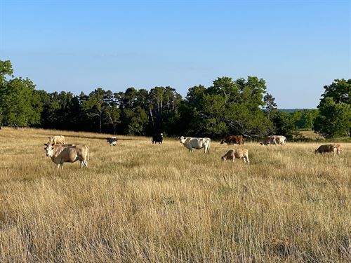 Missouri Ranches for Sale - ranchflip