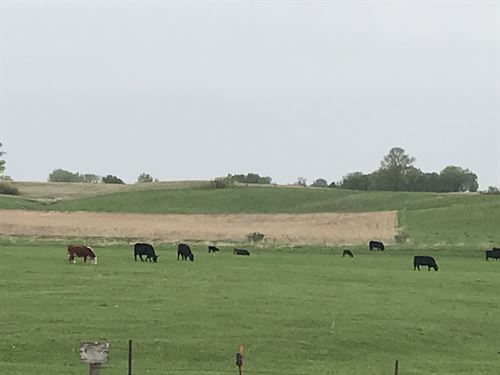 Iowa Ranches for Sale - ranchflip