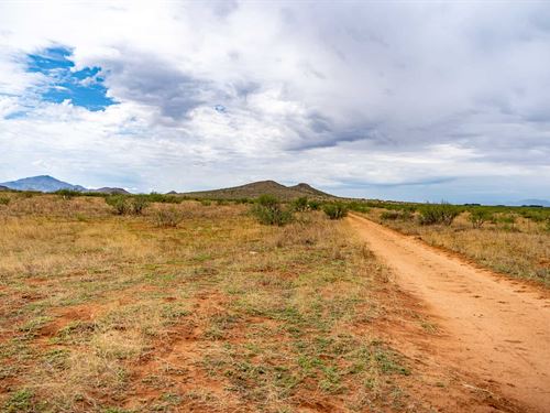 Arizona Cattle Ranches for Sale : Buy Ranches for Sale, Find Ranchettes ...