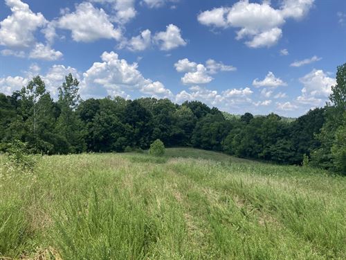 Kentucky Ranches for Sale : RANCHFLIP