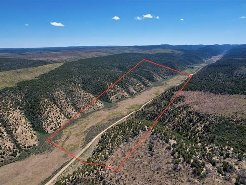 Rio Blanco County Colorado Ranches for Sale : RANCHFLIP
