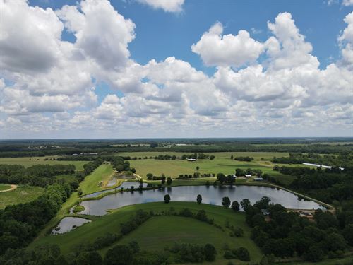 Alabama Cattle Ranches for Sale : Buy Ranches for Sale, Find Ranchettes ...