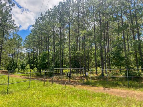 Texas High Fence Ranches for Sale, 75 - 500 Acres, Under $1.5M : RANCHFLIP