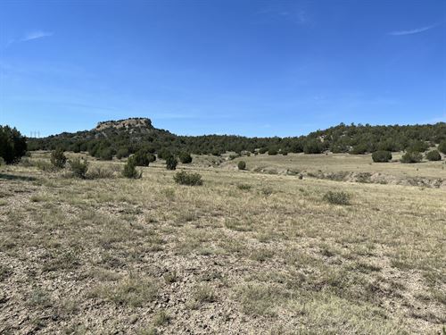 Colorado Ranches for Sale : Page 7 of 33 - RANCHFLIP