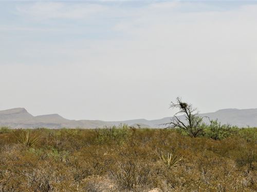 Texas Ranches for Sale by Owner (FSBO) : RANCHFLIP