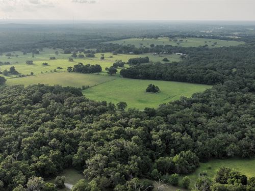 Florida Ranches for Sale : RANCHFLIP