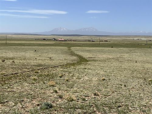 Buffalo Ranches for Sale - RANCHFLIP