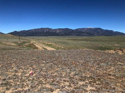 Buffalo Ranches for Sale - RANCHFLIP