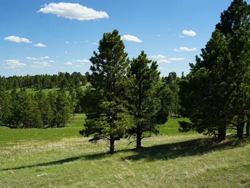 Nebraska Ranches for Sale : RANCHFLIP