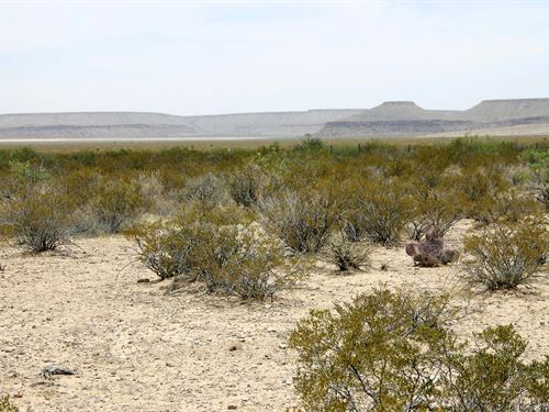 Texas Ranches for Sale by Owner (FSBO) : RANCHFLIP