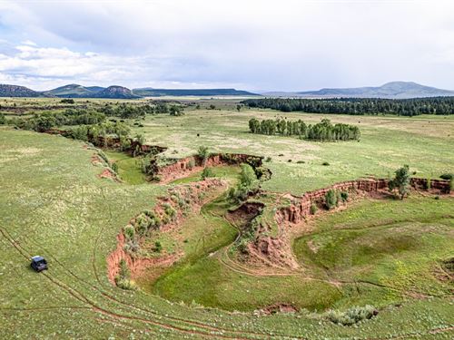 New Mexico Cattle Ranches for Sale - RANCHFLIP