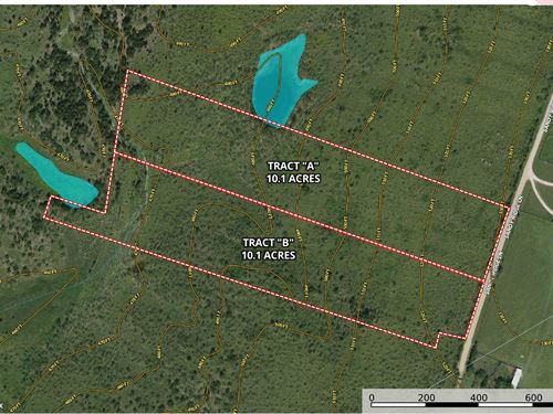 Texas Ranchette Ranches for Sale : RANCHFLIP