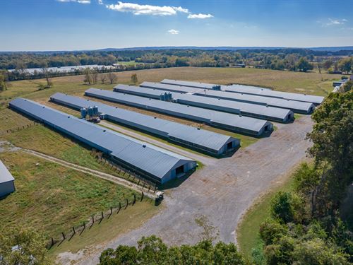 Alabama Cattle Ranches for Sale : RANCHFLIP