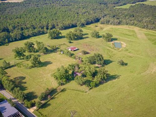 Berlin Georgia Ranch Auctions - RANCHFLIP