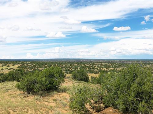 Ranches & Ranchland for Sale, Ranchettes & Hunting Ranches - RANCHFLIP