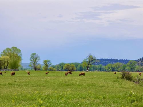 Montana Cattle Ranches for Sale : RANCHFLIP