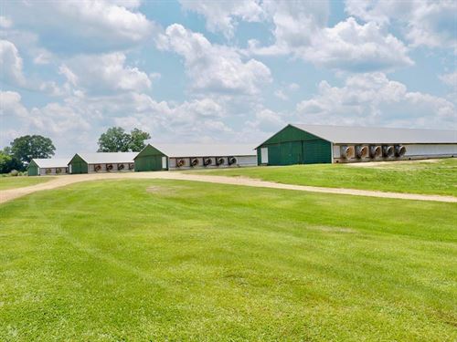 Mississippi Cattle Ranches for Sale : RANCHFLIP