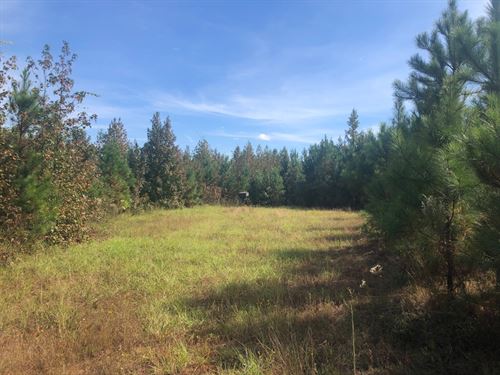 Georgia Ranches for Sale - RANCHFLIP