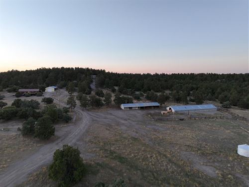 Wyoming Cattle Ranches for Sale : RANCHFLIP