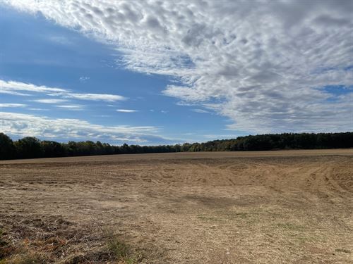 Louisiana Ranches for Sale - RANCHFLIP