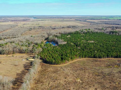 Texas Hunting Ranches for Sale : Page 2 of 13 : RANCHFLIP