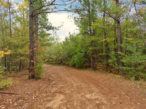 Texas Ranches for Sale by Owner (FSBO) : RANCHFLIP