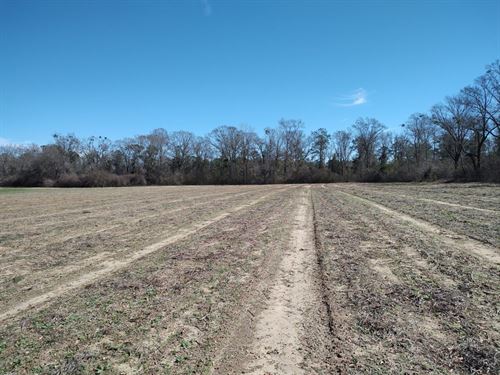 Alabama Ranches for Sale Over 10 Acres : Page 35 of 37 : RANCHFLIP