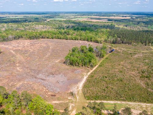 Georgia Ranches for Sale : Page 24 of 52 : RANCHFLIP