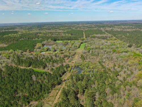 Georgia Ranches for Sale, 1,000 - 2,000 Acres : RANCHFLIP