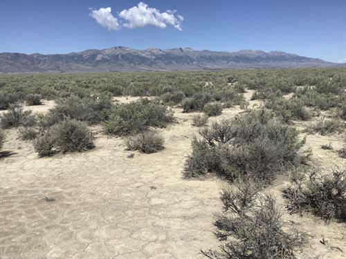 Nevada Ranches for Sale : RANCHFLIP