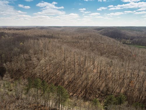 Tennessee Ranches for Sale : Page 10 of 16 : RANCHFLIP