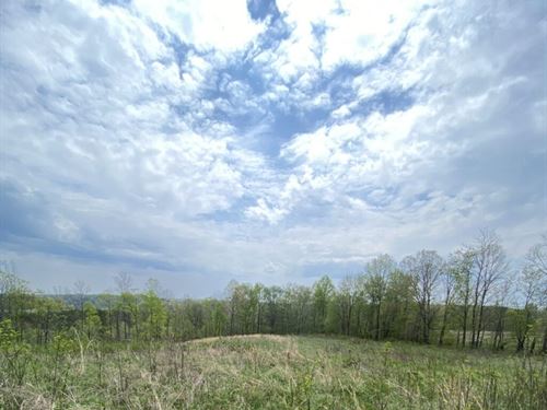 Kentucky Ranches for Sale : RANCHFLIP