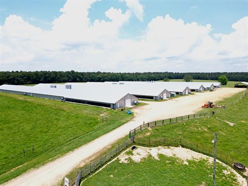 Mississippi Cattle Ranches for Sale : RANCHFLIP