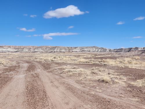 Arizona Ranches for Sale : Page 7 of 11 : RANCHFLIP