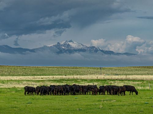 Ranches for Sale Over 10,000 Acres