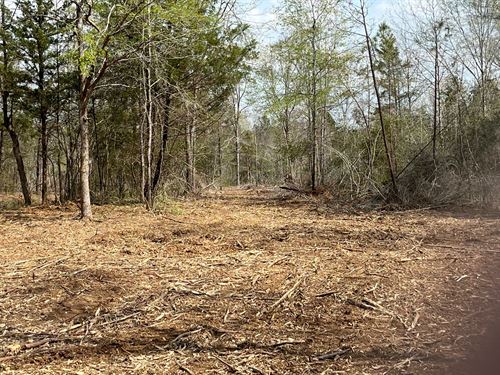 Texas Ranches for Sale by Owner (FSBO) : RANCHFLIP