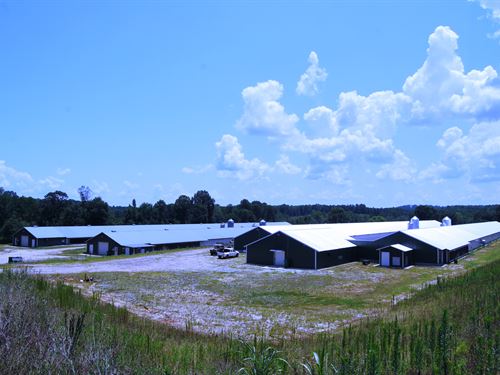 Franklin County Georgia Ranches for Sale : RANCHFLIP