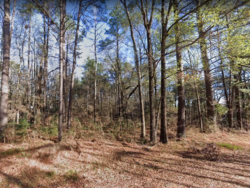 Louisiana Ranches for Sale : Page 12 of 15 : RANCHFLIP