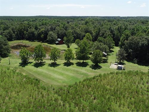Georgia Ranches for Sale Over 50 Acres : Page 20 of 31 : RANCHFLIP