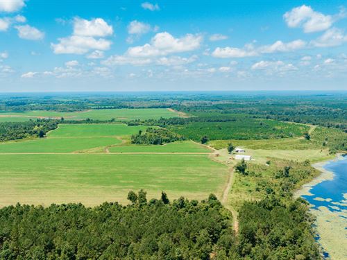 Georgia Ranches for Sale : RANCHFLIP