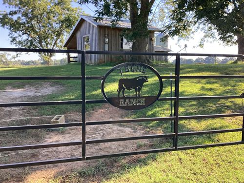 Alabama Cattle Ranches for Sale : RANCHFLIP