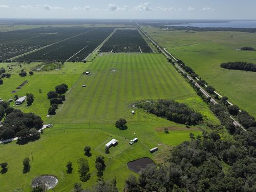 Florida Cattle Ranches for Sale : RANCHFLIP