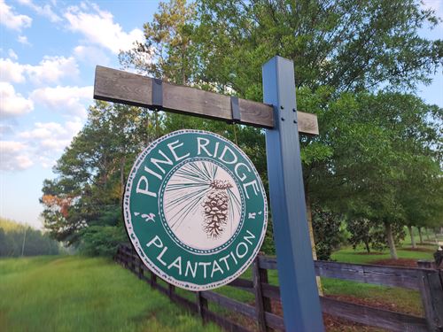 Georgia Ranches for Sale : RANCHFLIP