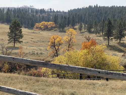 Montana Cattle Ranches for Sale