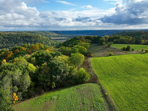 Minnesota Ranches for Sale : RANCHFLIP